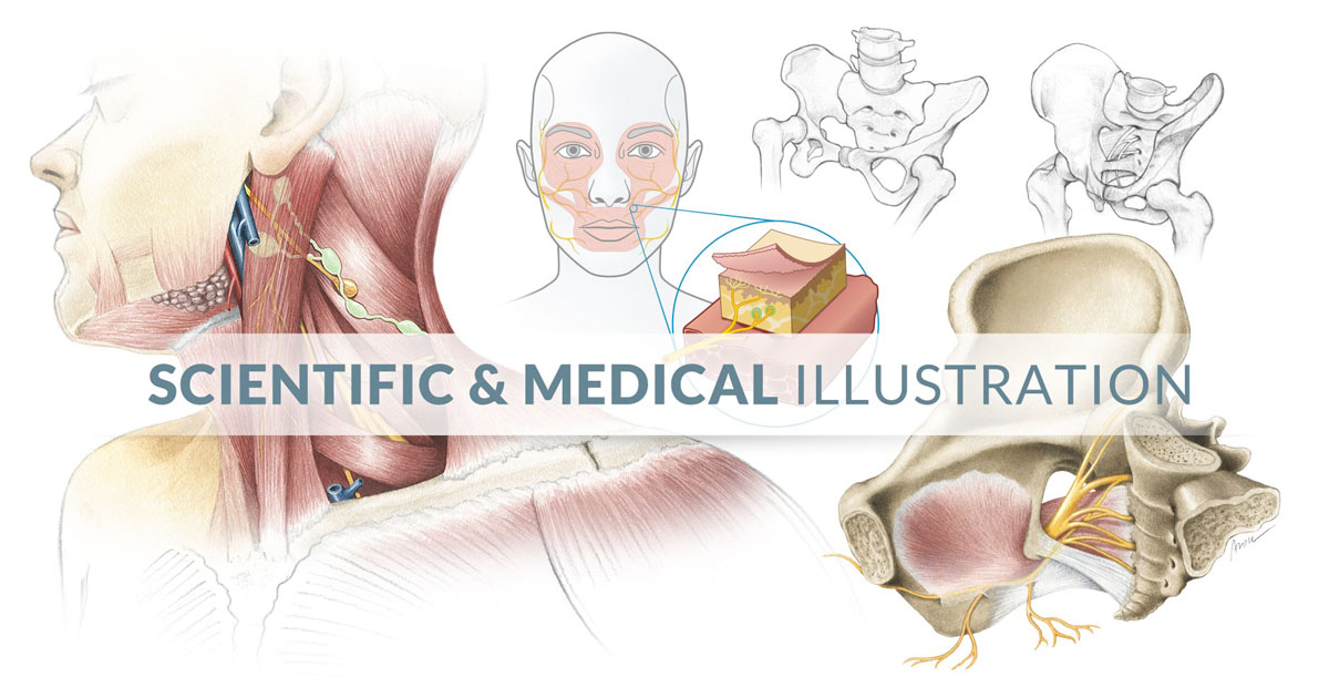 Scientific Illustration – Science Visual